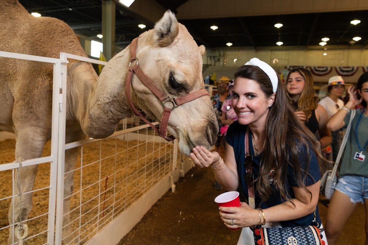 Talley Amusements • Carnival Rides & Midway Magic Across the U.S.